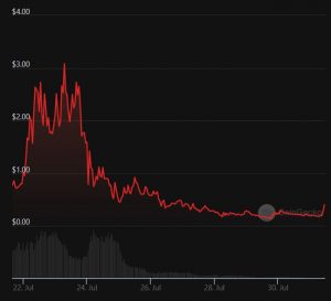 Betting on Real Hamster Races Pump and Dump Ham Token Value | BitPinas