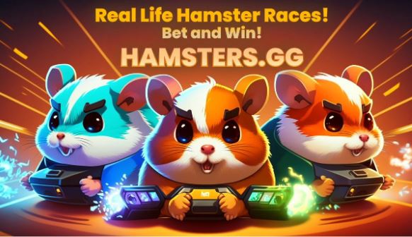 Betting on Real Hamster Races Pump and Dump Ham Token Value | BitPinas